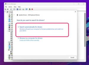 How to Fix Alt + F4 Not Working in Windows 11 - GeekChamp