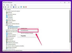 How to Fix Function Keys Not Working in Windows 11 - GeekChamp