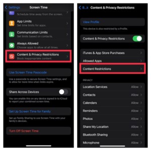How to Disable Screen Recording on iPhone in iOS 17 - GeekChamp