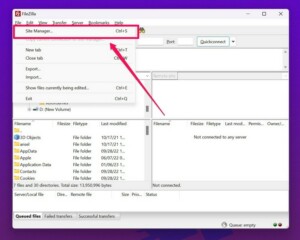How to Fix FTP Client Not Working in Windows 11 - GeekChamp