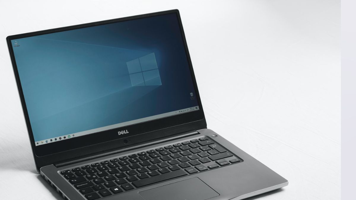 How to Fix File Sharing Not Working in Windows 11 - GeekChamp