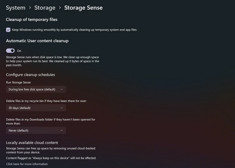How to Fix Disk Cleanup Not Working in Windows 11 - GeekChamp