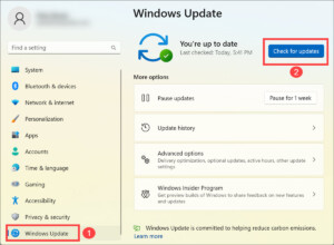 How to Fix Parental Controls Not Working in Windows 11 - GeekChamp