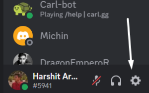 How to Fix Discord Camera Not Working in Windows 11 - GeekChamp