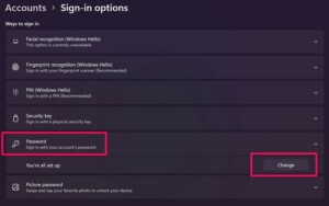 How to Fix Password Not Working in Windows 11 - GeekChamp