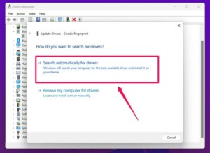 How to Fix Windows Hello Fingerprint Recognition Not Working in Windows ...