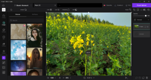 Best Photo Editor For Windows 11 - GeekChamp