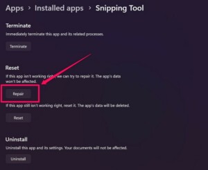 How to Fix Screen Recording in Snipping Tool Not Working on Windows 11 ...