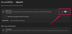 How to Enable and Use Voice Access in Windows 11 - GeekChamp
