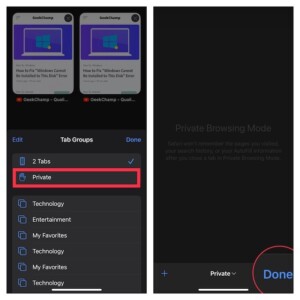 How to Enable and Use Safari Private Browsing Mode on iPhone in iOS 17 ...