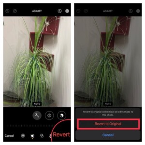 How to Adjust Shadows in Photos on iPhone in iOS 17 - GeekChamp