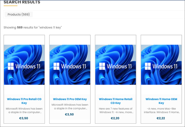 Best Place to Buy Windows 11 License Key - GeekChamp