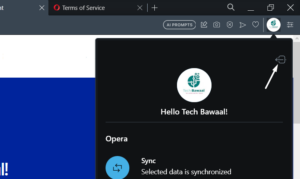 How to Fix Opera Not Working in Windows 11 - GeekChamp