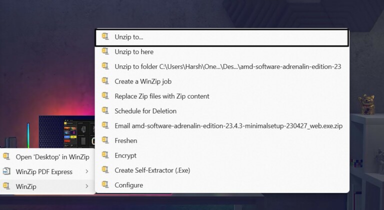 How To Install and Use WinZip on Windows 11 - GeekChamp