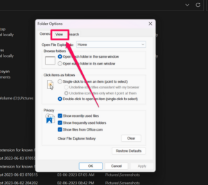 How to Show File Extensions in Windows 11 - GeekChamp