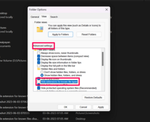 How to Show File Extensions in Windows 11 - GeekChamp