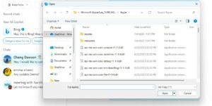 How to Install and Use Skype on Windows 11 - GeekChamp