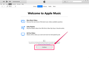 How to Install and Use iTunes on Windows 11 - GeekChamp