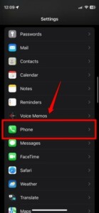 How to Fix Calls Not Working on iPhone in iOS 17 - GeekChamp