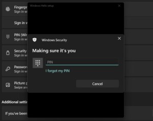 How to Setup Windows Hello in Windows 11 - GeekChamp