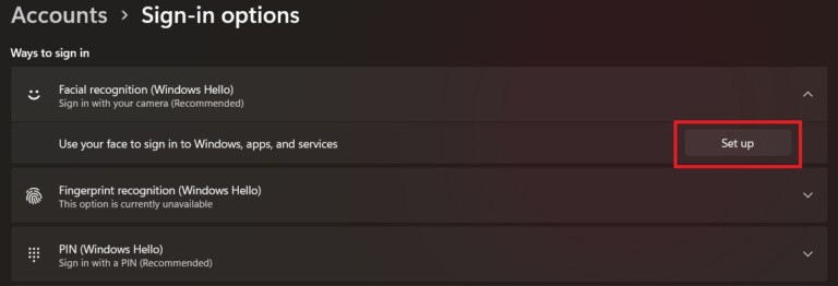 How to Setup Windows Hello in Windows 11 - GeekChamp
