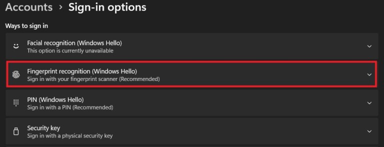 How to Setup Windows Hello in Windows 11 - GeekChamp