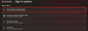 How to Setup Windows Hello in Windows 11 - GeekChamp