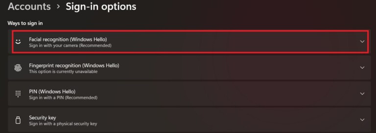 How to Setup Windows Hello in Windows 11 - GeekChamp