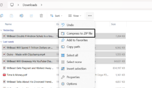 How to Zip or Unzip Files in Windows 11 - GeekChamp