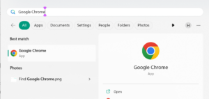 How to Fix Google Chrome Not Working in Windows 11 - GeekChamp