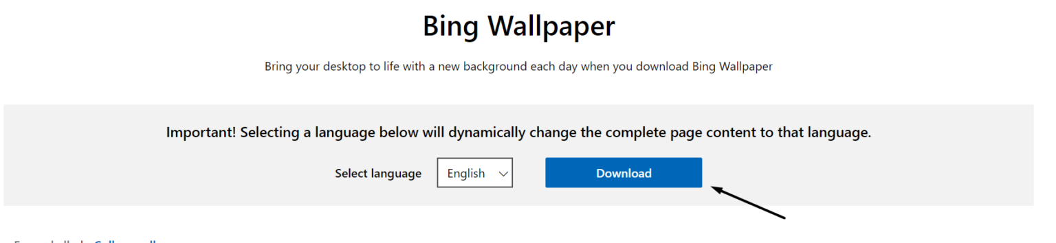 How to Fix Bing Wallpaper App Not Working in Windows 11 - GeekChamp