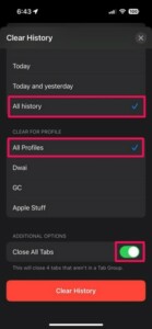How to Fix JavaScript Not Working in Safari on iPhone - GeekChamp