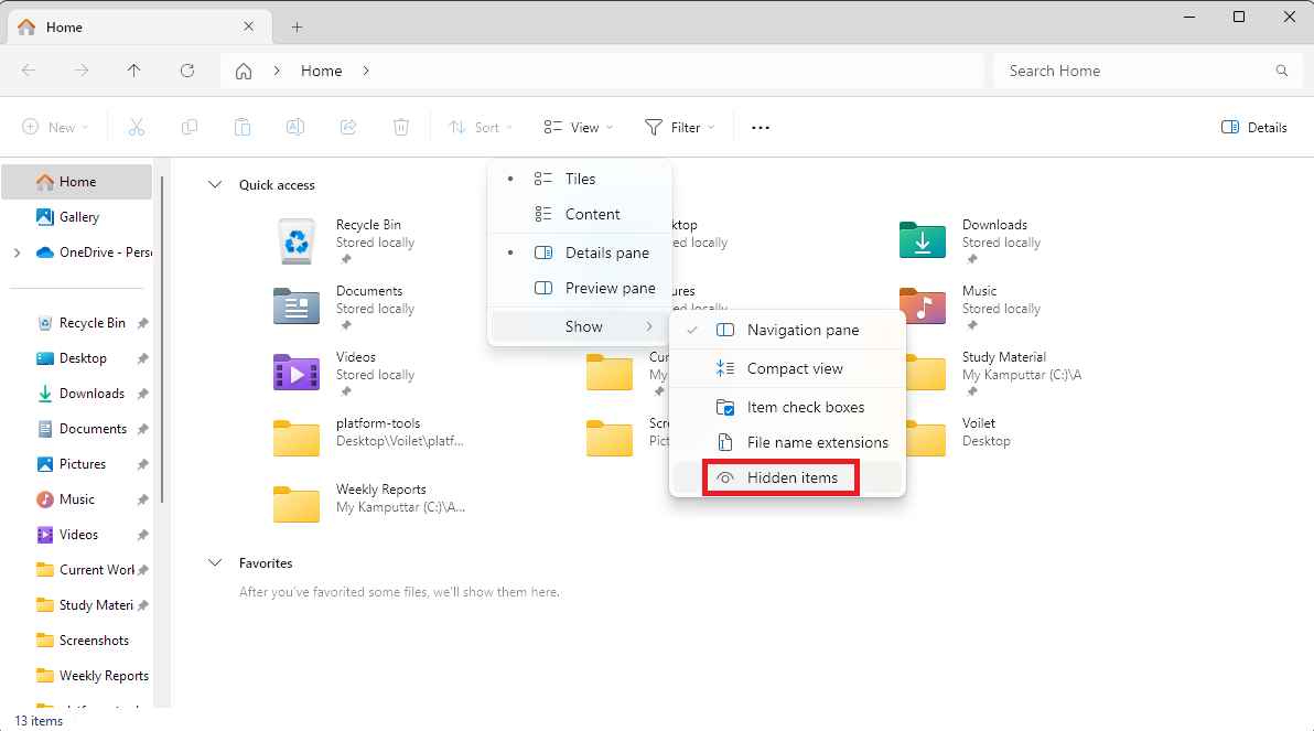 How to Show Hidden Files on Windows 11 - GeekChamp