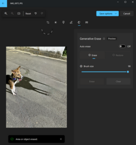 How to Use Generative Erase in Photos App on Windows 11 - GeekChamp