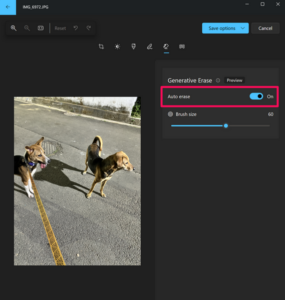 How to Use Generative Erase in Photos App on Windows 11 - GeekChamp