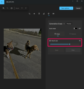 How to Use Generative Erase in Photos App on Windows 11 - GeekChamp