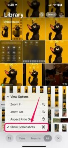 How to Use Sorting and Filtering in Photos App on iPhone in iOS 18 ...