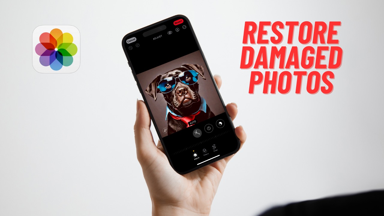 How to Recover Lost or Damaged Photos/Videos on iPhone in iOS 18