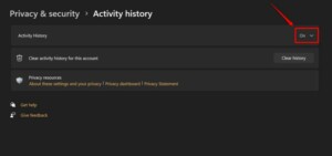 How to View Activity History on Windows 11 - GeekChamp