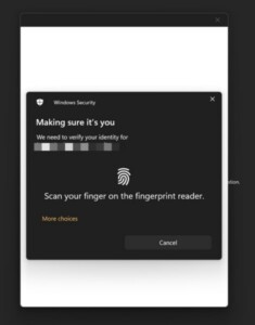 How to Fix Error Code 2148073494 in Windows 11 - GeekChamp