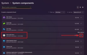 How to Fix Microsoft Store Error 0x803f8001 on Windows 11 - GeekChamp