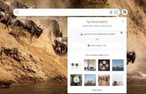 How to Use Visual Search with Bing in Snipping Tool on Windows 11 ...