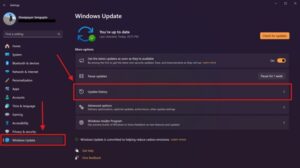How to Fix Ctfmon.exe "Unknown Hard Error" on Windows 11 - GeekChamp